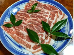 一泊二食付きスタンダードプラン※蕎麦なし 民宿しおざわ - 宿泊予約は[じゃらん]